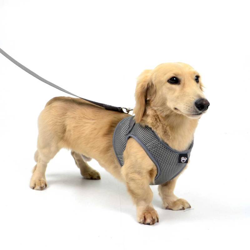 Peitoral Basic - Emporium Distripet